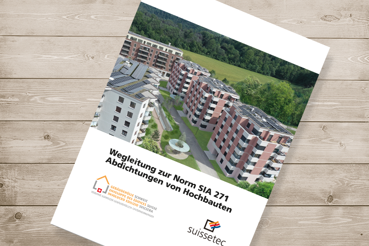Wegleitung «Norm SIA 271:2021» | Set (Buch + E-Book) | Polybau